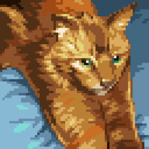 NFT Image Size: Correct Dimensions for NFT Art [With Examples ...